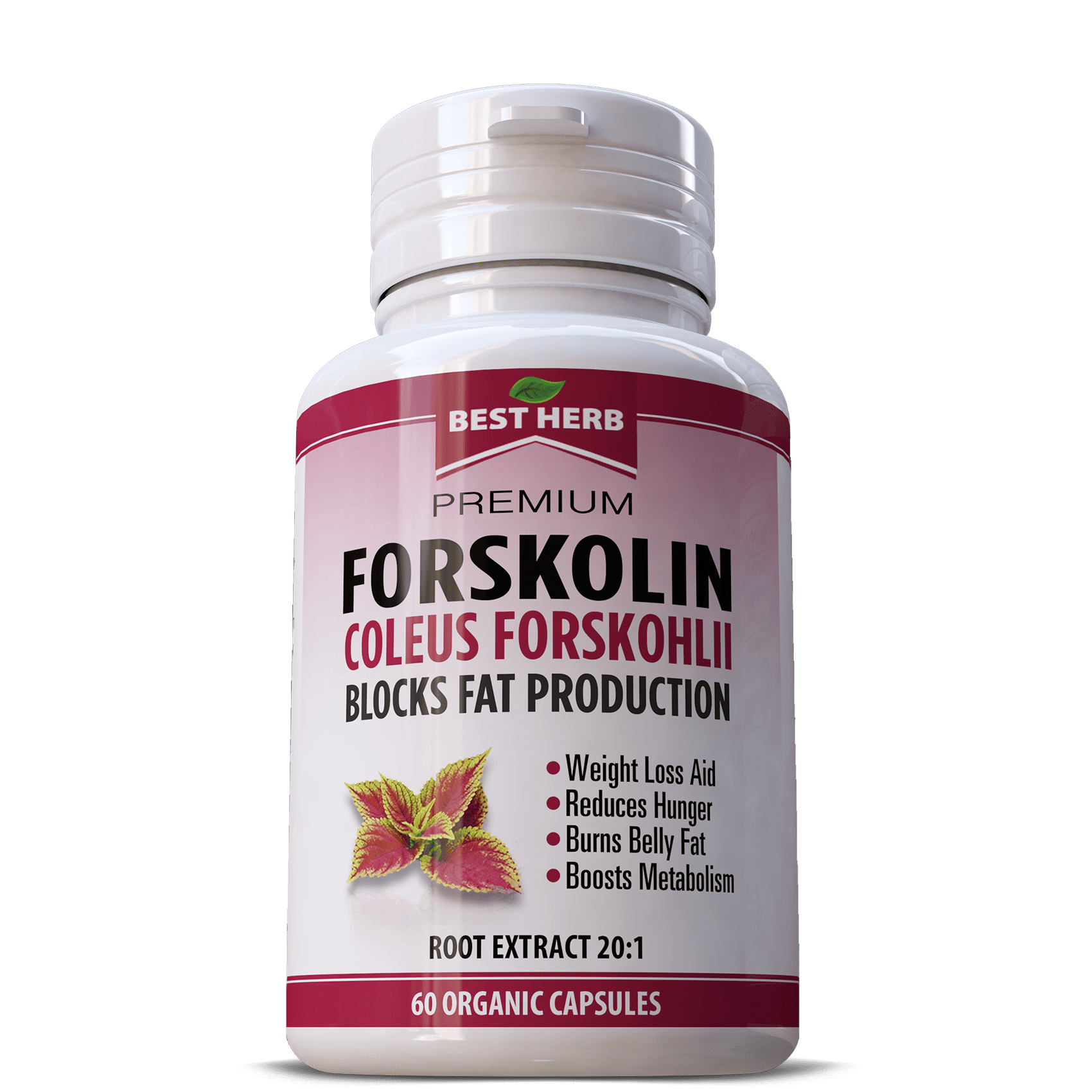 Premium Forskolin Pure Extract Organic Supplement Pills - 60 Capsules ...