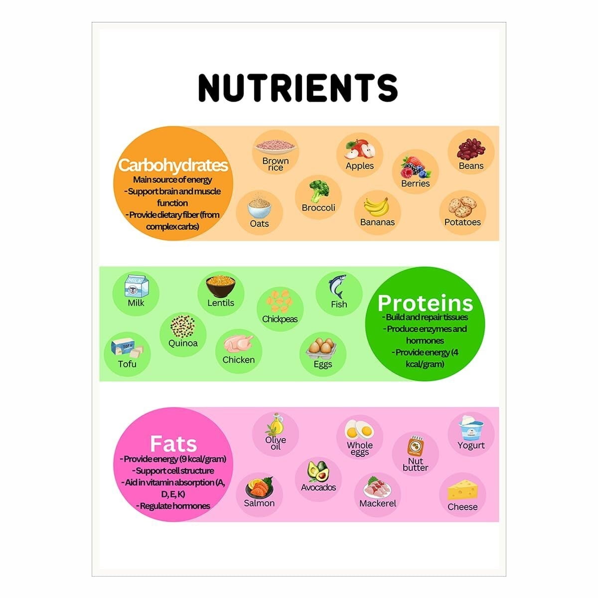NUTRIENTS PosterEducational Nutrition Guide for Healthy Eating and Meal ...