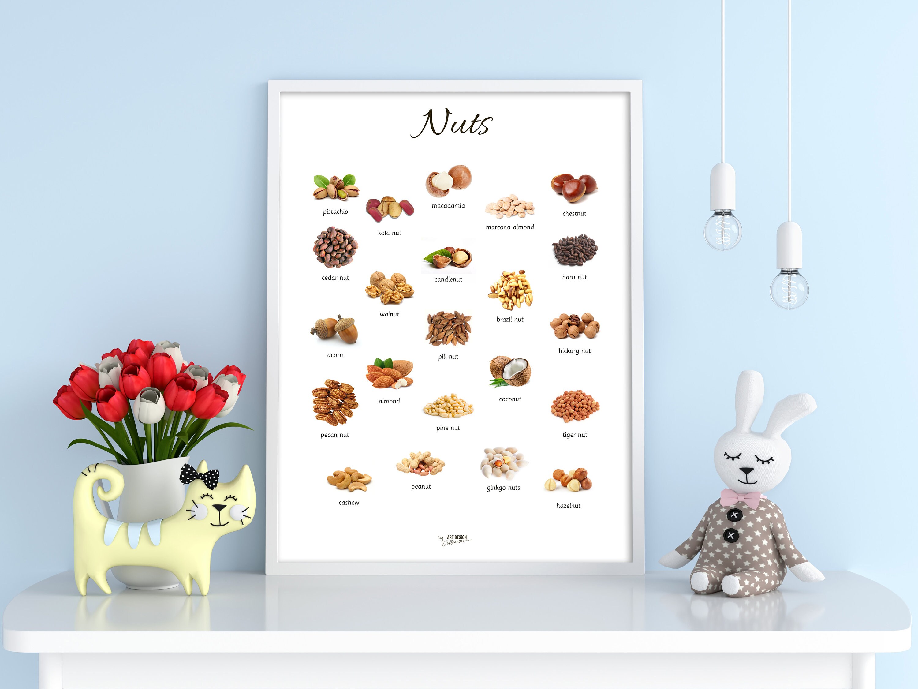NUTS POSTER •Poster •Educational Homeschooling Learning Poster Kids ...