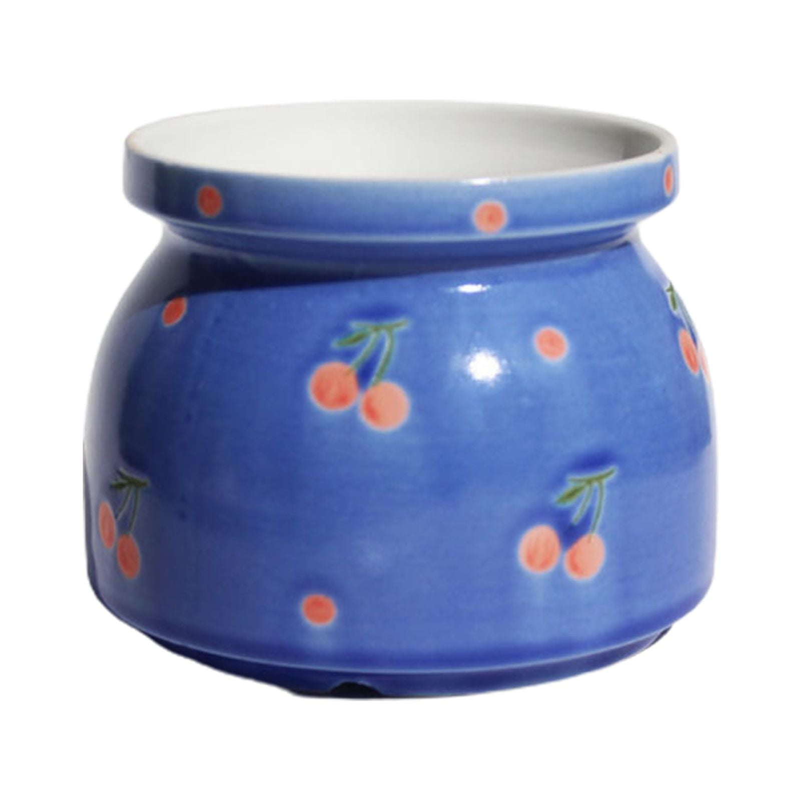 NUZYZ Decorative Bright-Colored Ceramic Flowerpot with Flower Pattern ...