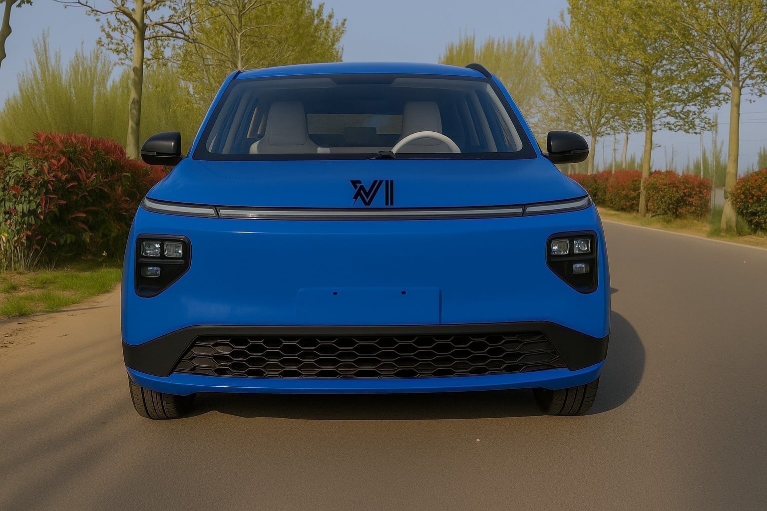 NVII Mini Electric LSV - 4-Passenger Low-Speed Vehicle 25 MPH 90 Mile ...
