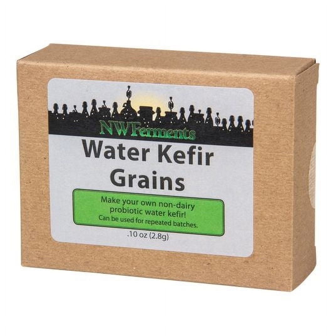 NW Ferments Water Kefir Grains-1 Box - Walmart.com