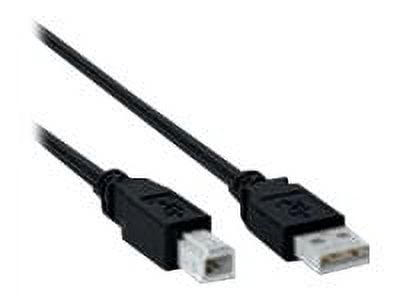 NXT Technologies 15' USB A Male/B Male Black NX29748 - Walmart Business ...
