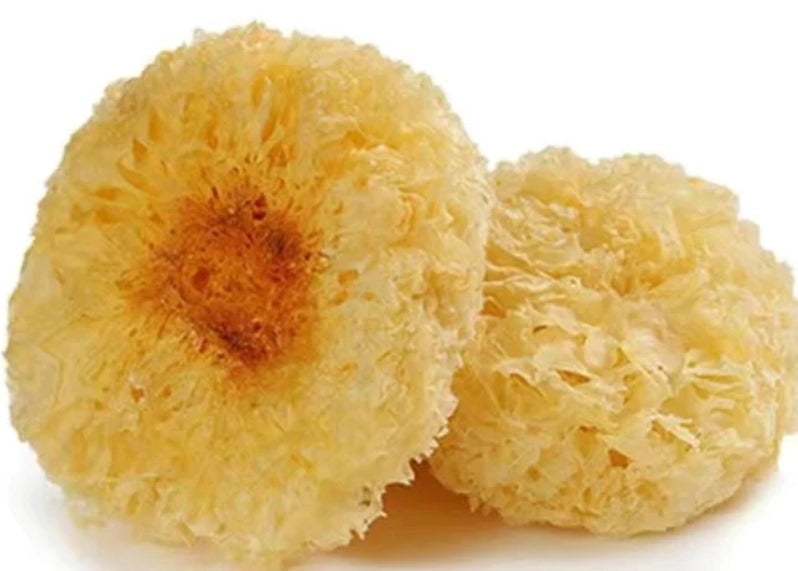 NY SPICE SHOP Dried Tremella Mushroom - 1 Pound - Snow Mushroom ...