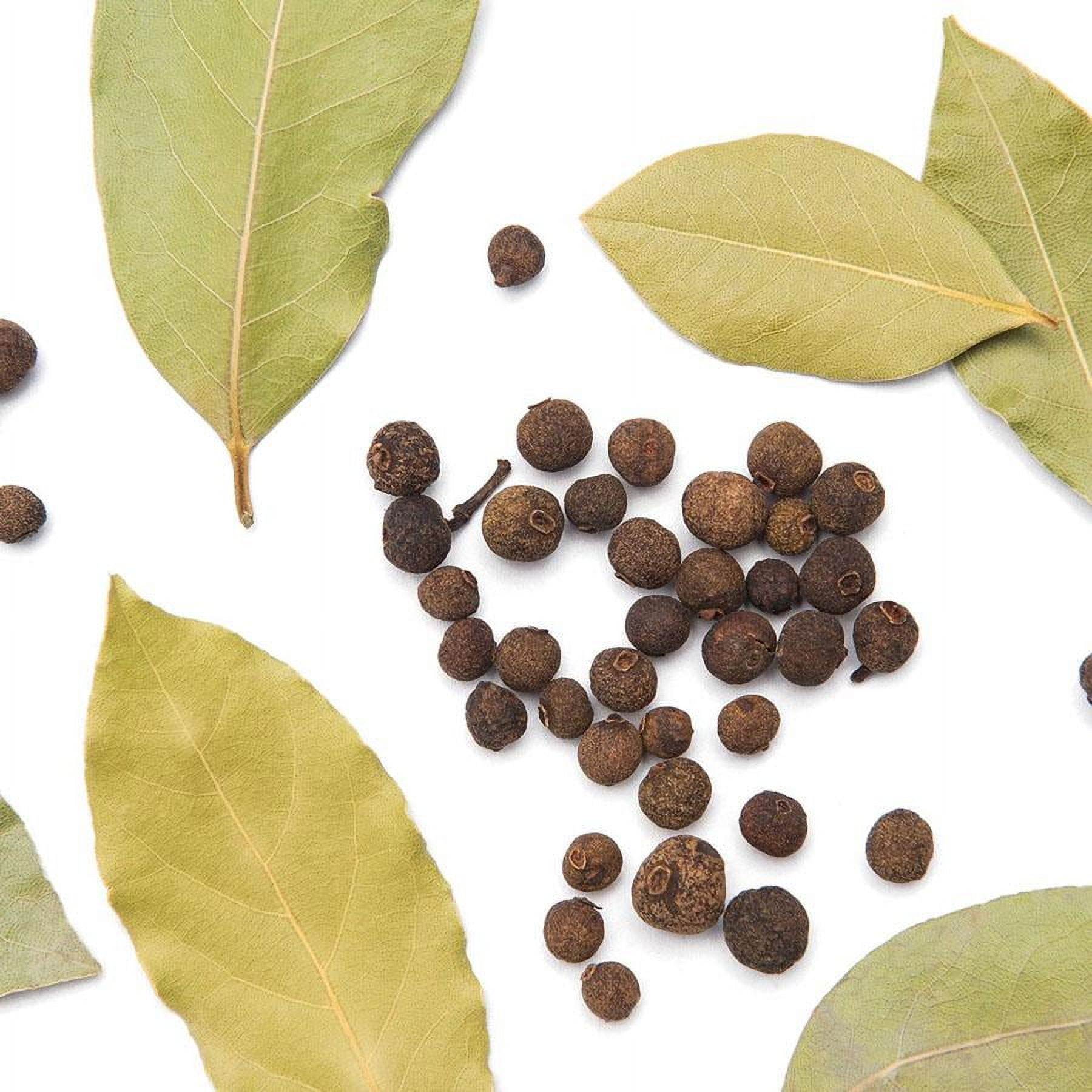 NY SPICE SHOP Pimento Leaf - 1 Pound - Pimenta - Berry of Pimenta ...