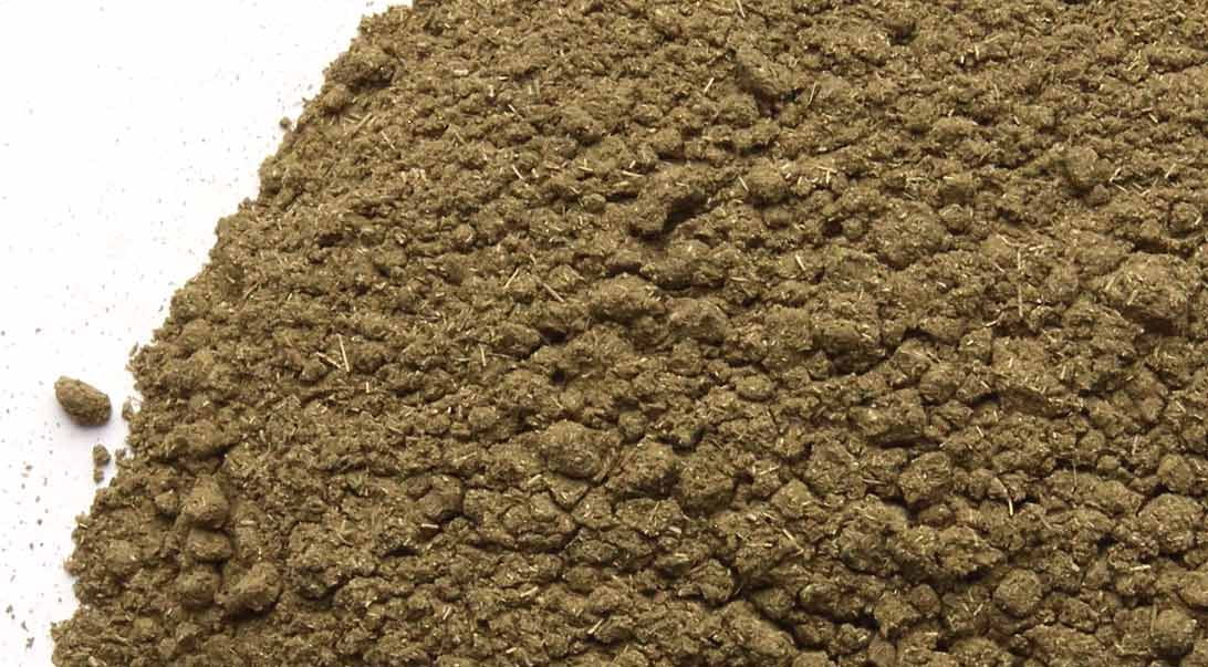 NY Spice Shop Jiaogulan Herb Powder - 1 Pound - Herb Powder - Jiaogulan ...