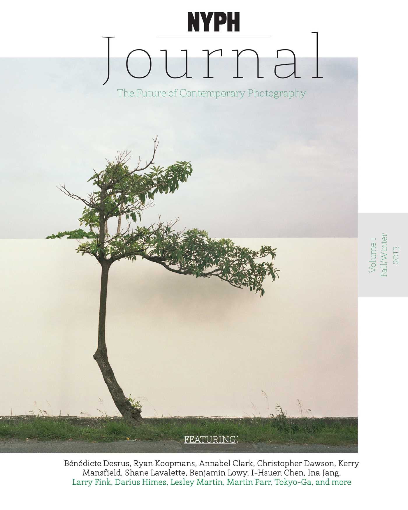 NYPH Journal: The Future of Contemporary Photography - Walmart.com