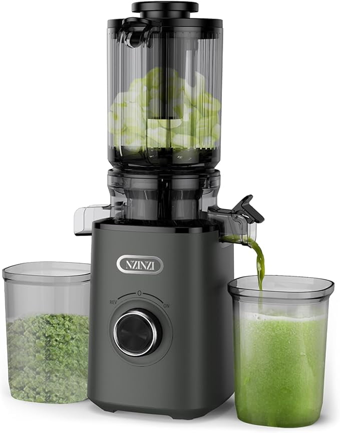 NZINZI Cold Press Juicer, Slow Juicer Machine Easy to Clean, Self ...