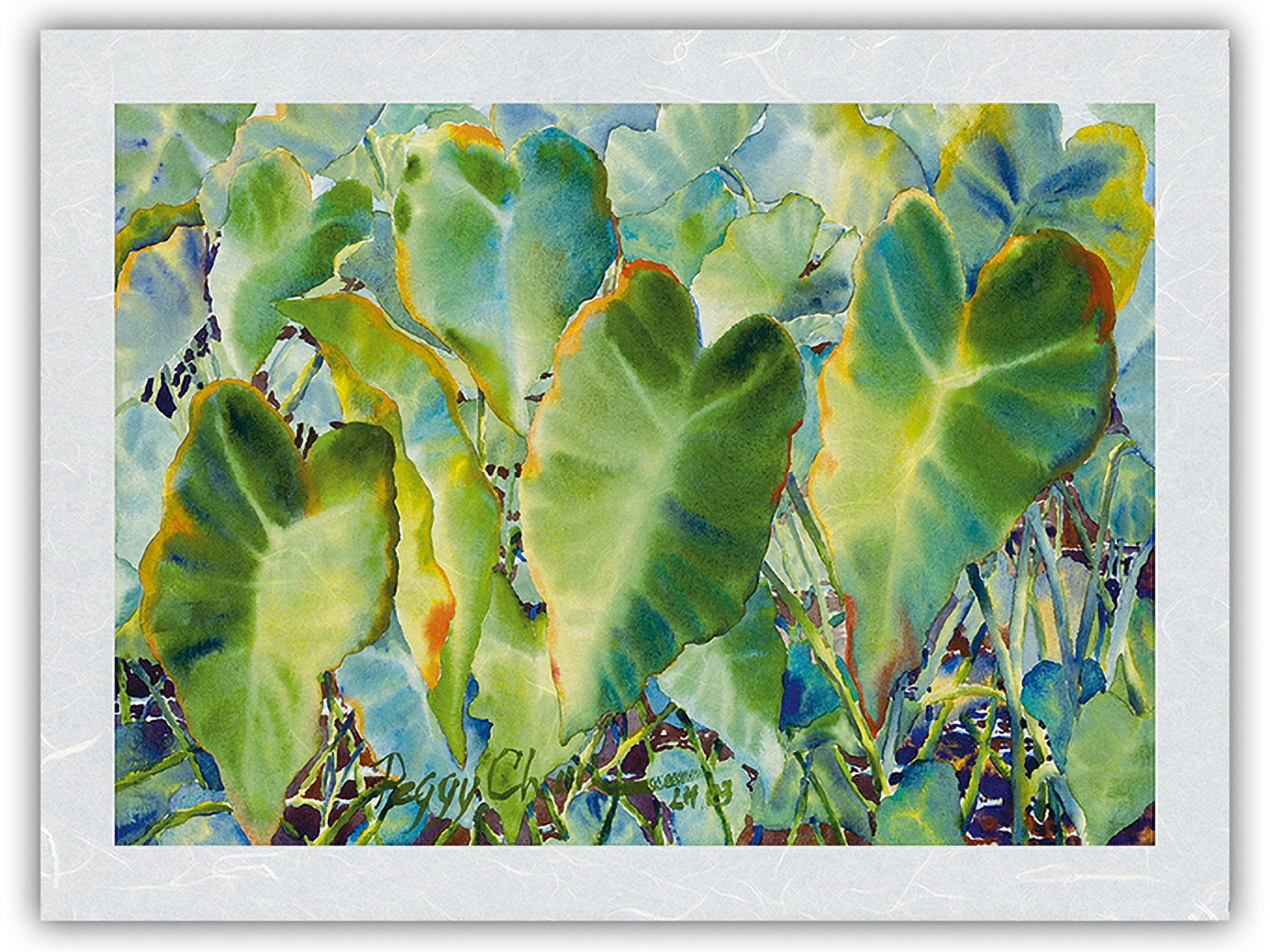 Na Kalo (Taro) - Native Hawaii Taro Leaf Plant - Taro Patch (Lo’i) - From an Original Hawaii ...