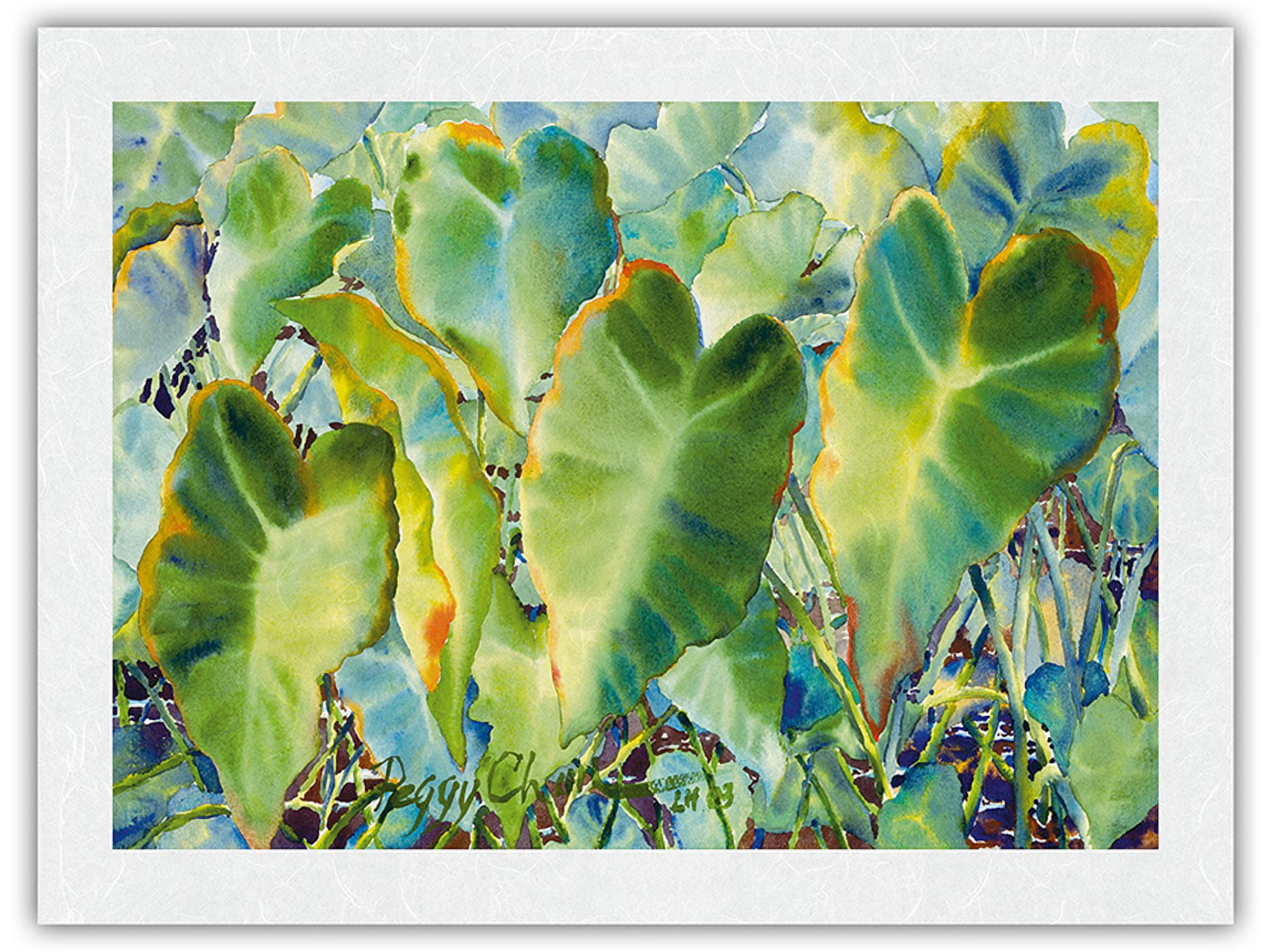 Na Kalo (Taro) - Native Hawaii Taro Leaf Plant - Taro Patch (Lo’i ...