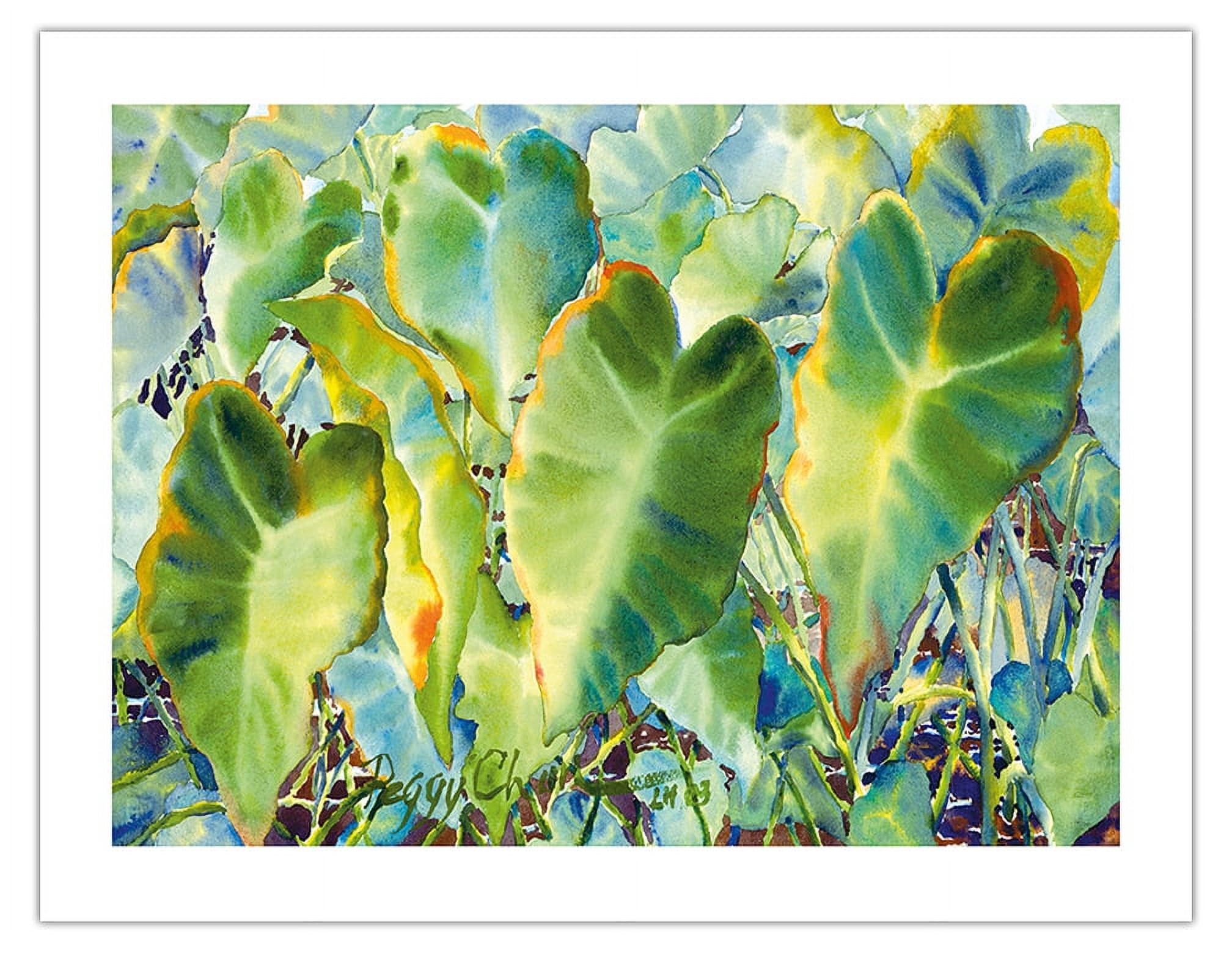 Na Kalo (Taro) - Native Hawaii Taro Leaf Plant - Taro Patch (Lo’i ...