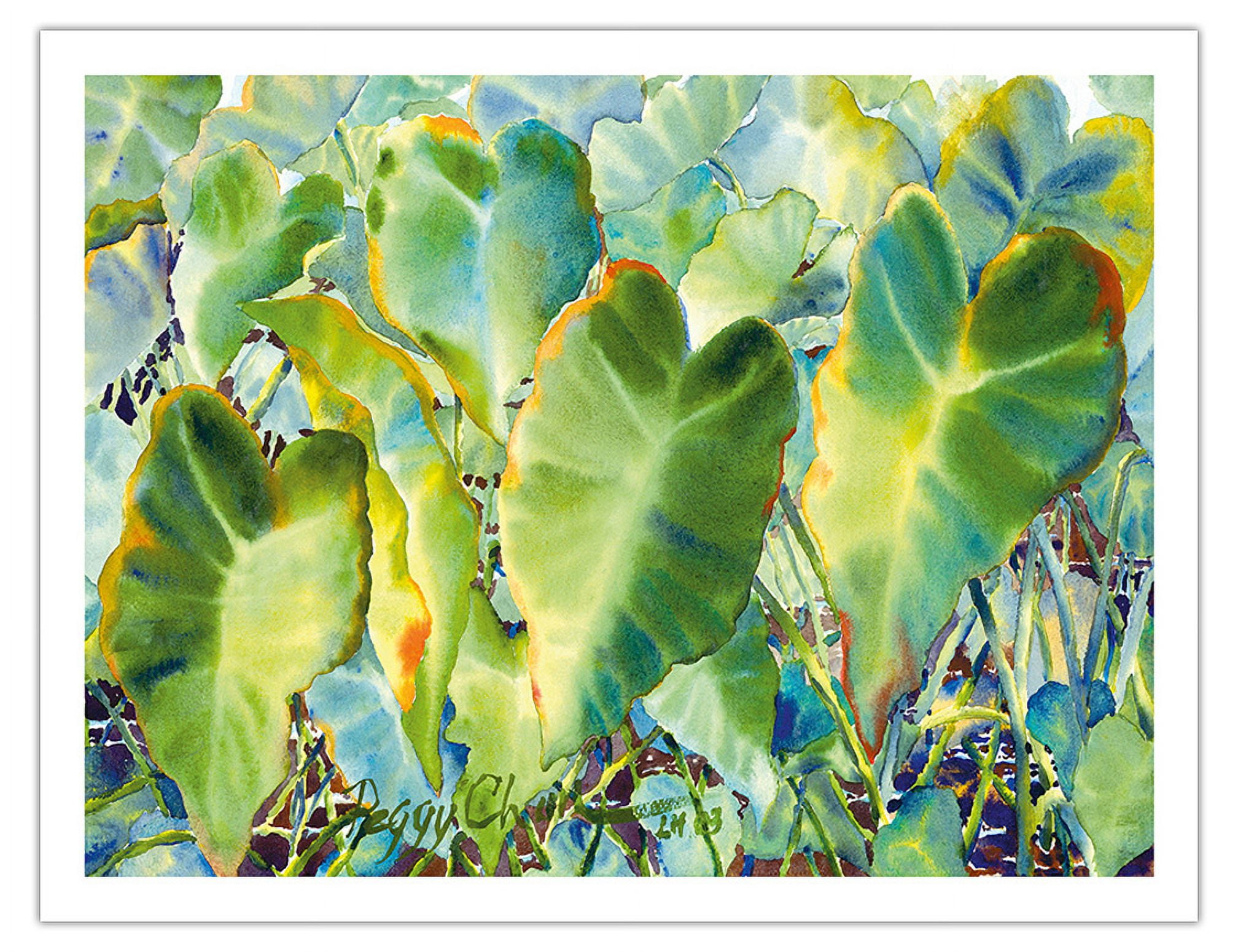 Na Kalo (Taro) - Native Hawaii Taro Leaf Plant - Taro Patch (Lo’i ...