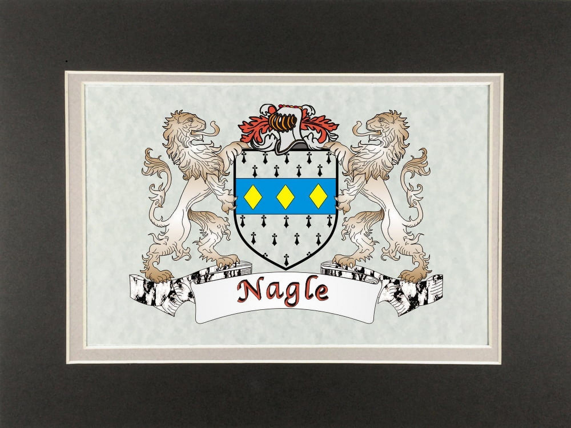 Nagle Irish Coat of Arms Print - Frameable 9" x 12" - Walmart.com