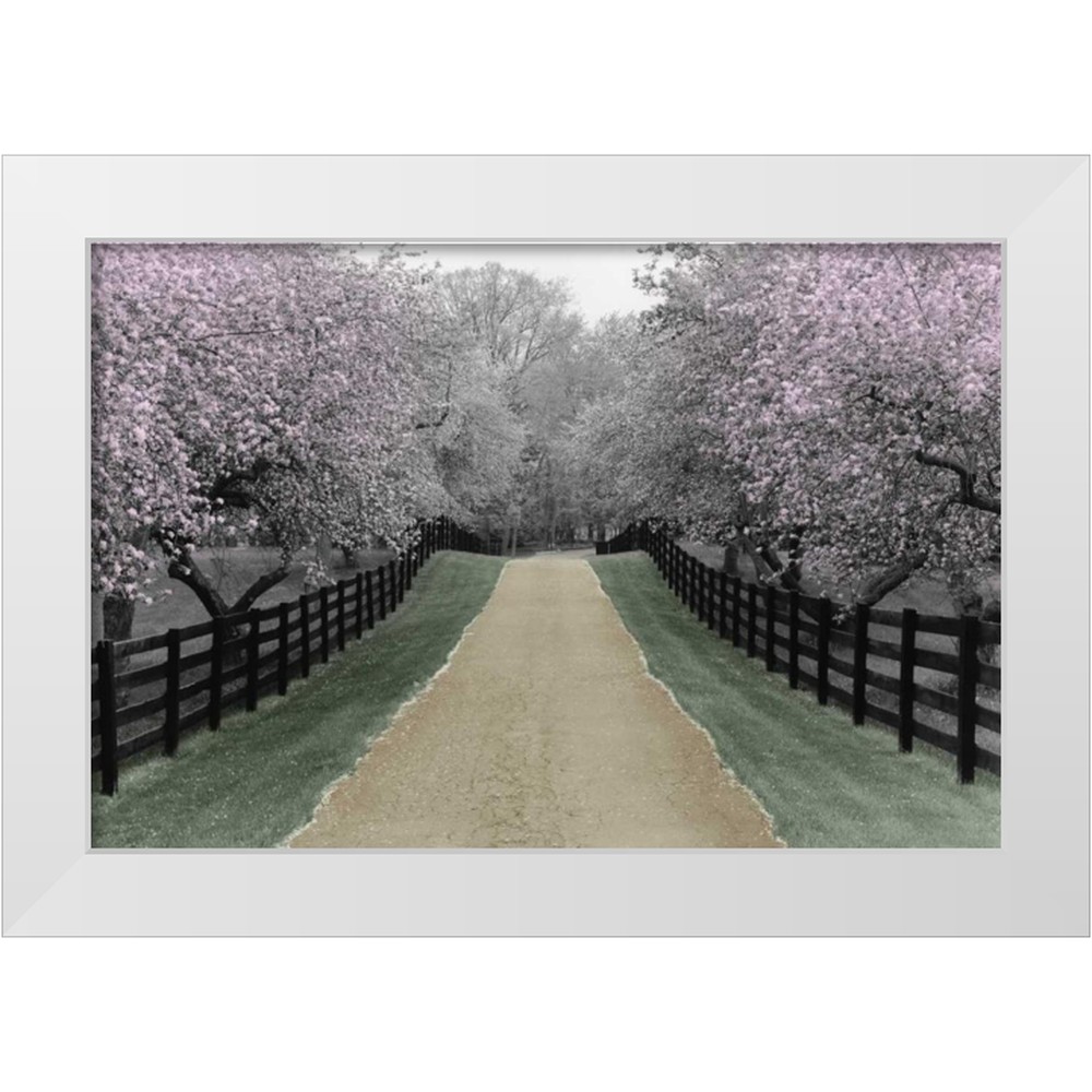 Nagler, Monte 18x13 White Modern Wood Framed Museum Art Print Titled ...