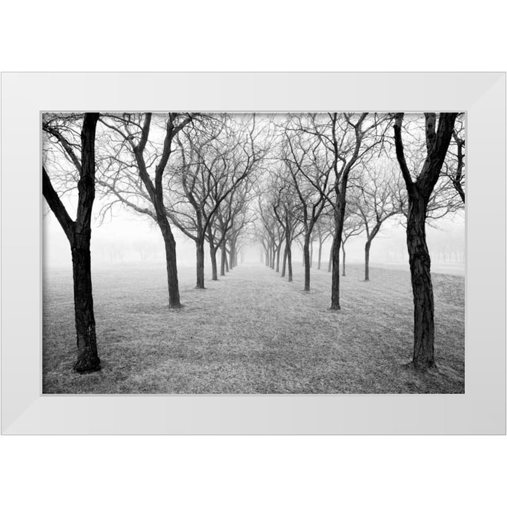 Nagler, Monte 18x13 White Modern Wood Framed Museum Art Print Titled ...