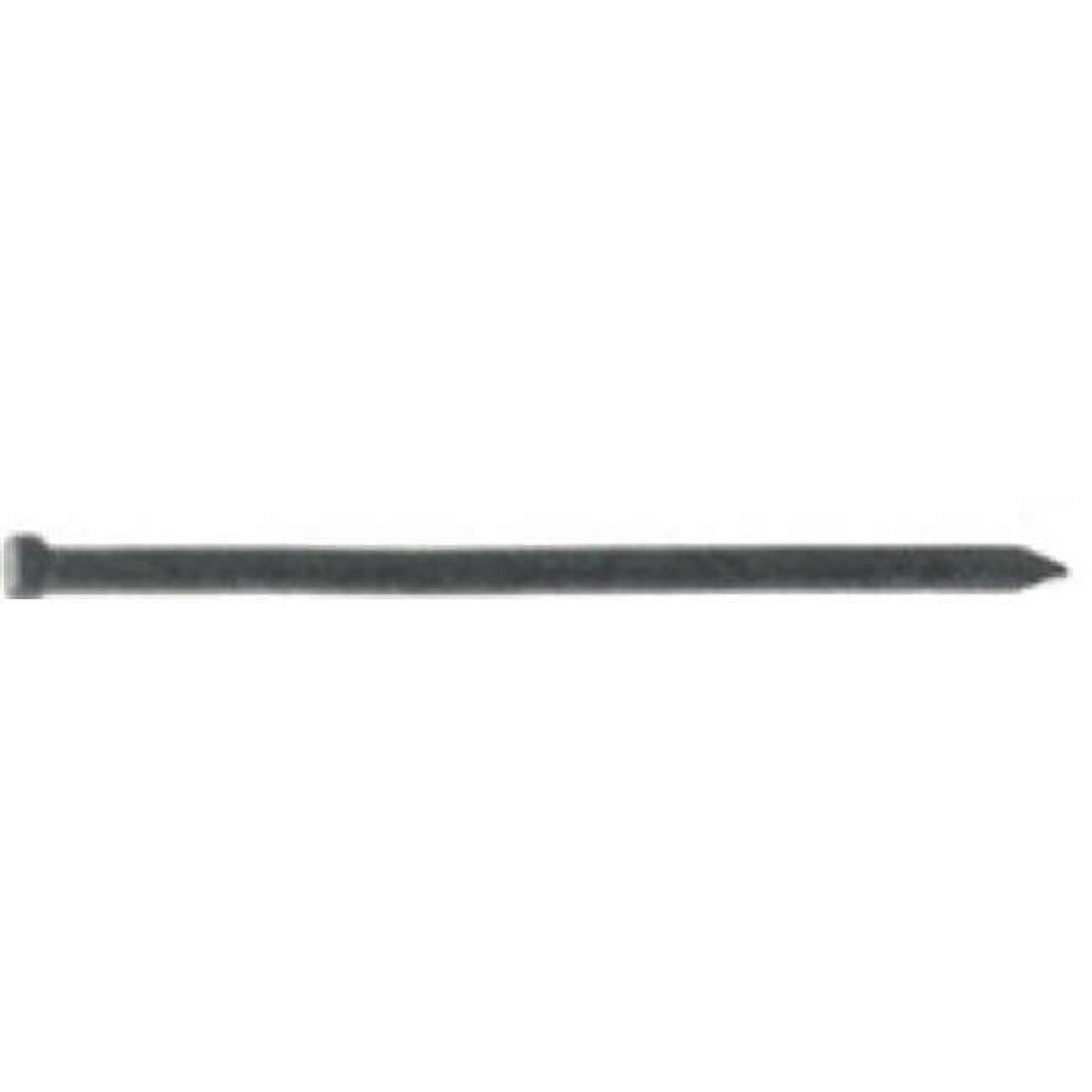 Nail 6d Finish Galv 50# - Walmart.com