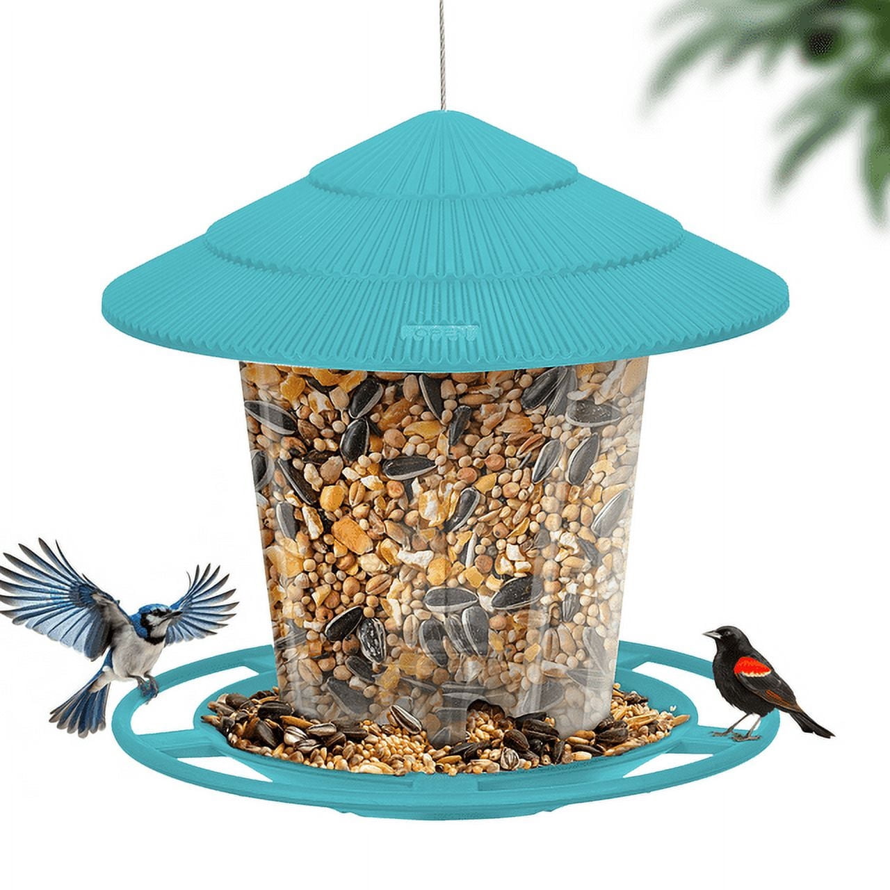 Naipo Wild Bird Feeder, Squirrel Resistant, Outside Hanging Bird ...