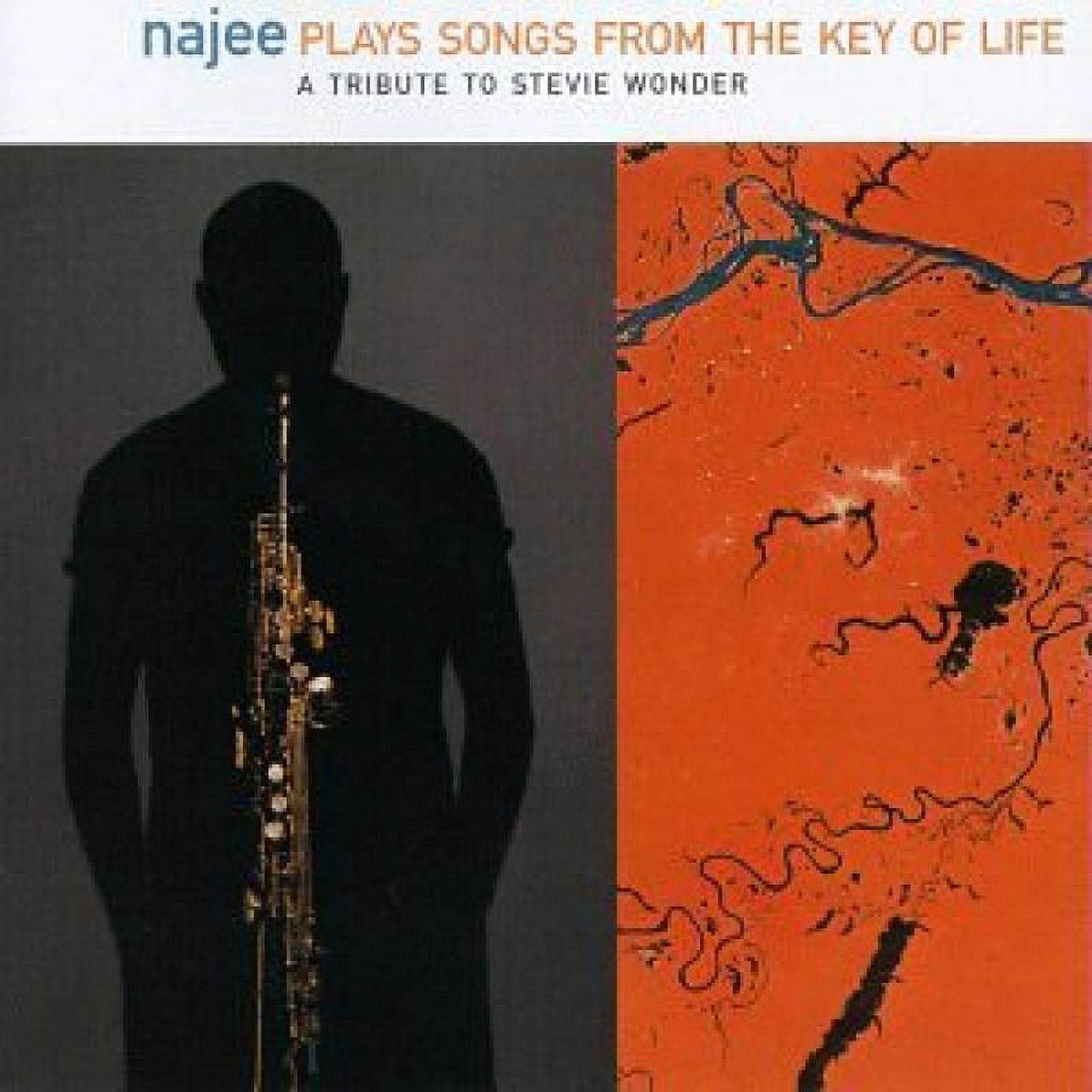 Songs from the Key of Life (CD) by Najee - Walmart.com