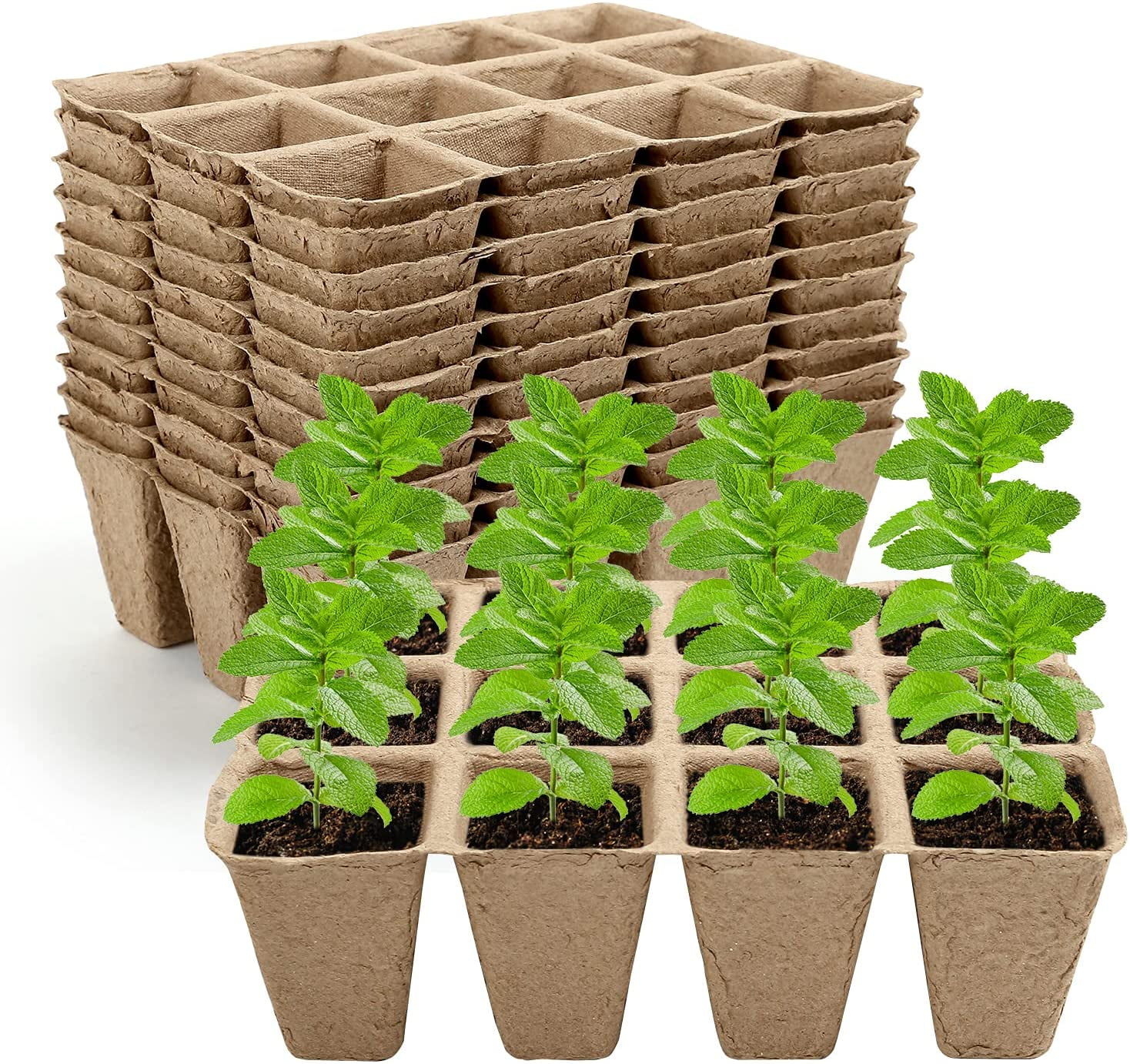 Naler 14 Pack Seed Starter Trays - 168 Cell Seedling Grow Kit for ...