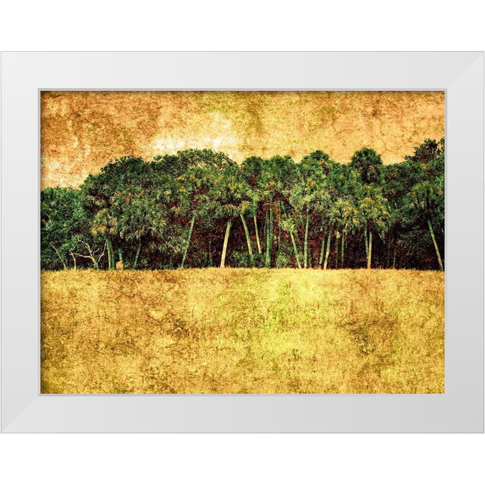 Nall, Skip 14x12 White Modern Wood Framed Museum Art Print Titled ...