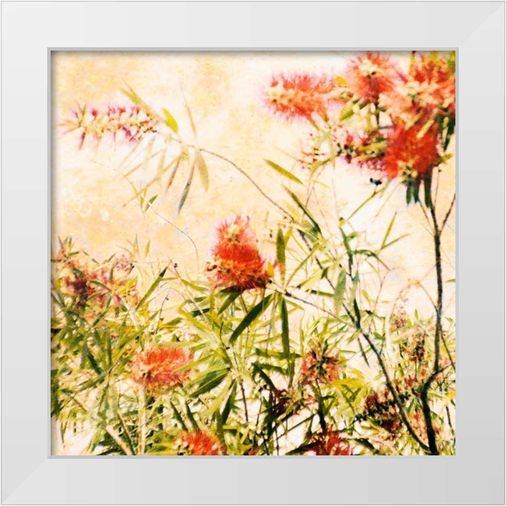 Nall, Skip 15x15 White Modern Wood Framed Museum Art Print Titled ...