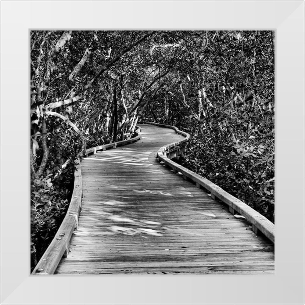 Nall, Skip 20x20 White Modern Wood Framed Museum Art Print Titled ...