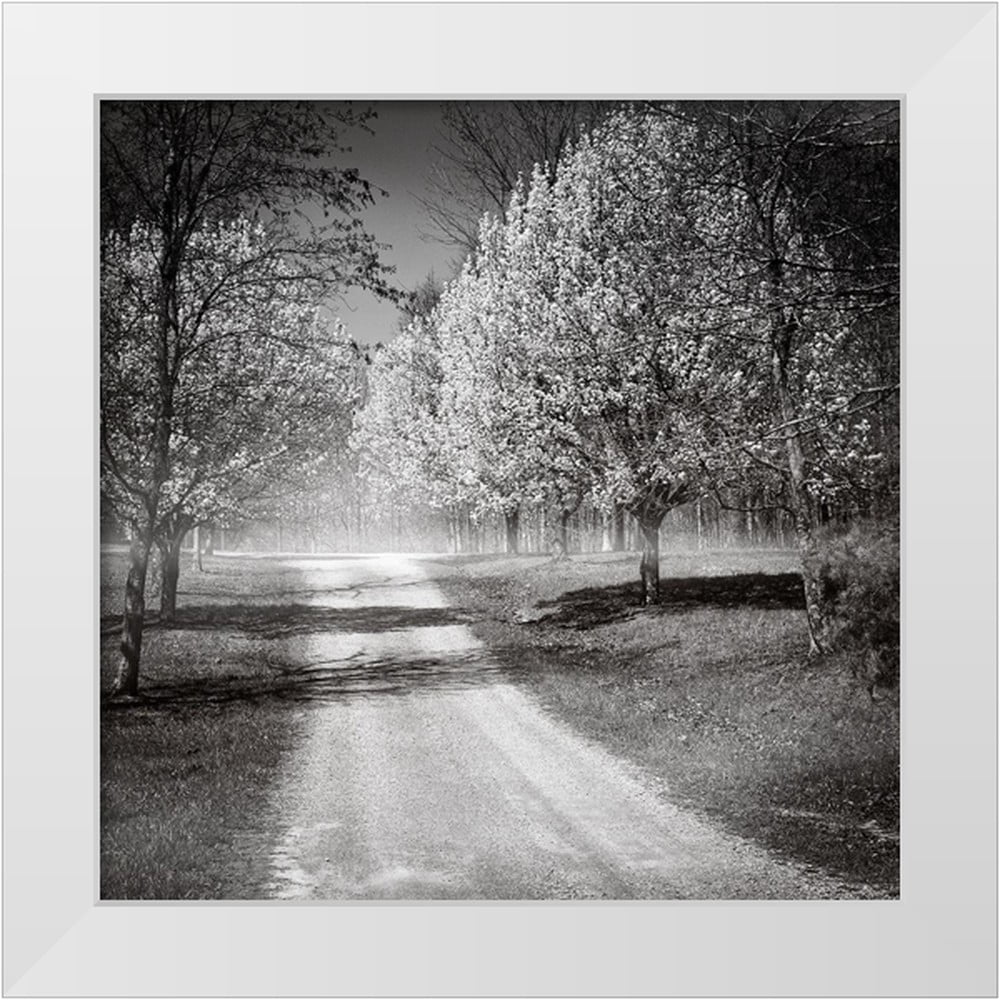 Nall, Skip 20x20 White Modern Wood Framed Museum Art Print Titled ...