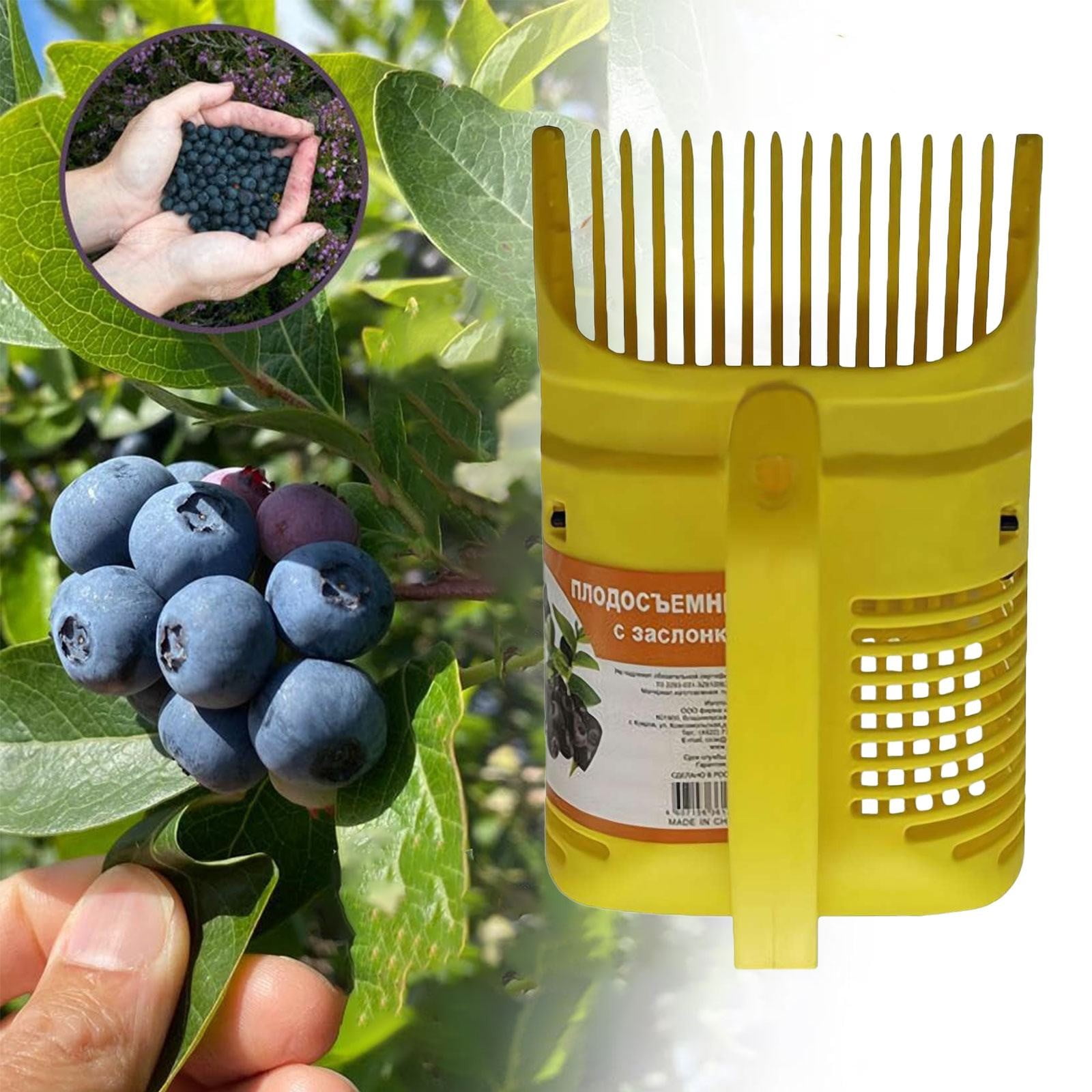 Nallwabiu Blueberry Rake Plastic Berry And Rakes Portable Berry Comb ...