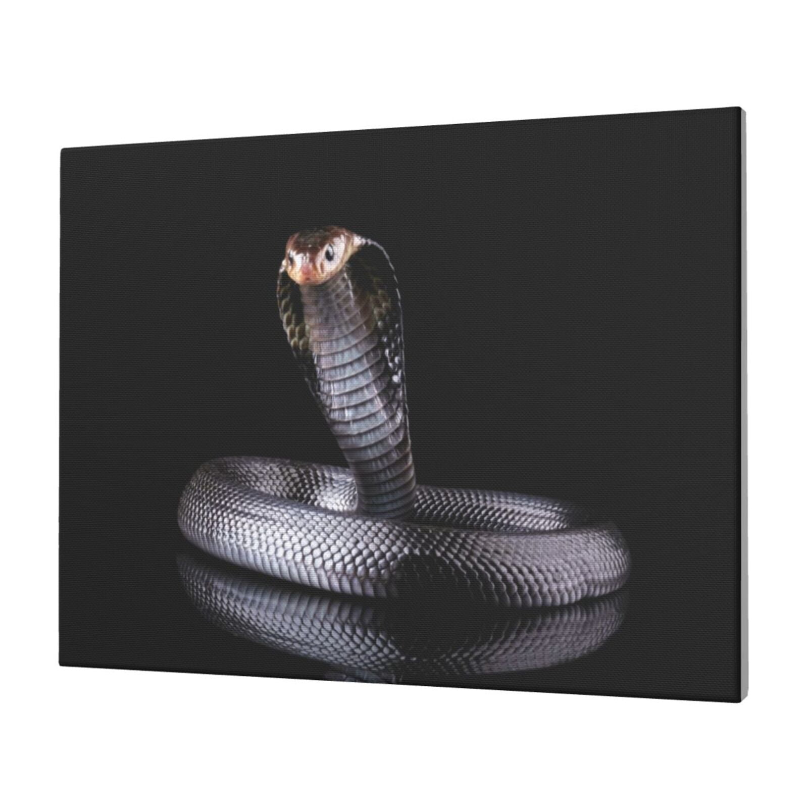 Naloa Black Cobra Snake Print Canvas Picture,Wall Pictures, Modern ...