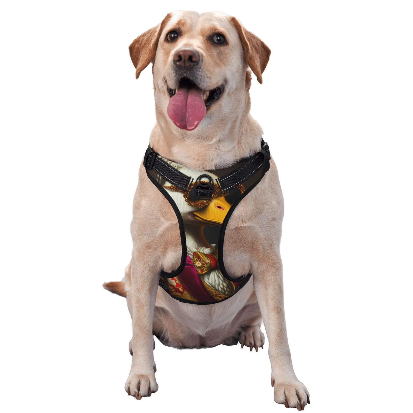 Naloa Noble Style Duck Pet Harness Vest with Traction Rope, Adjustable ...