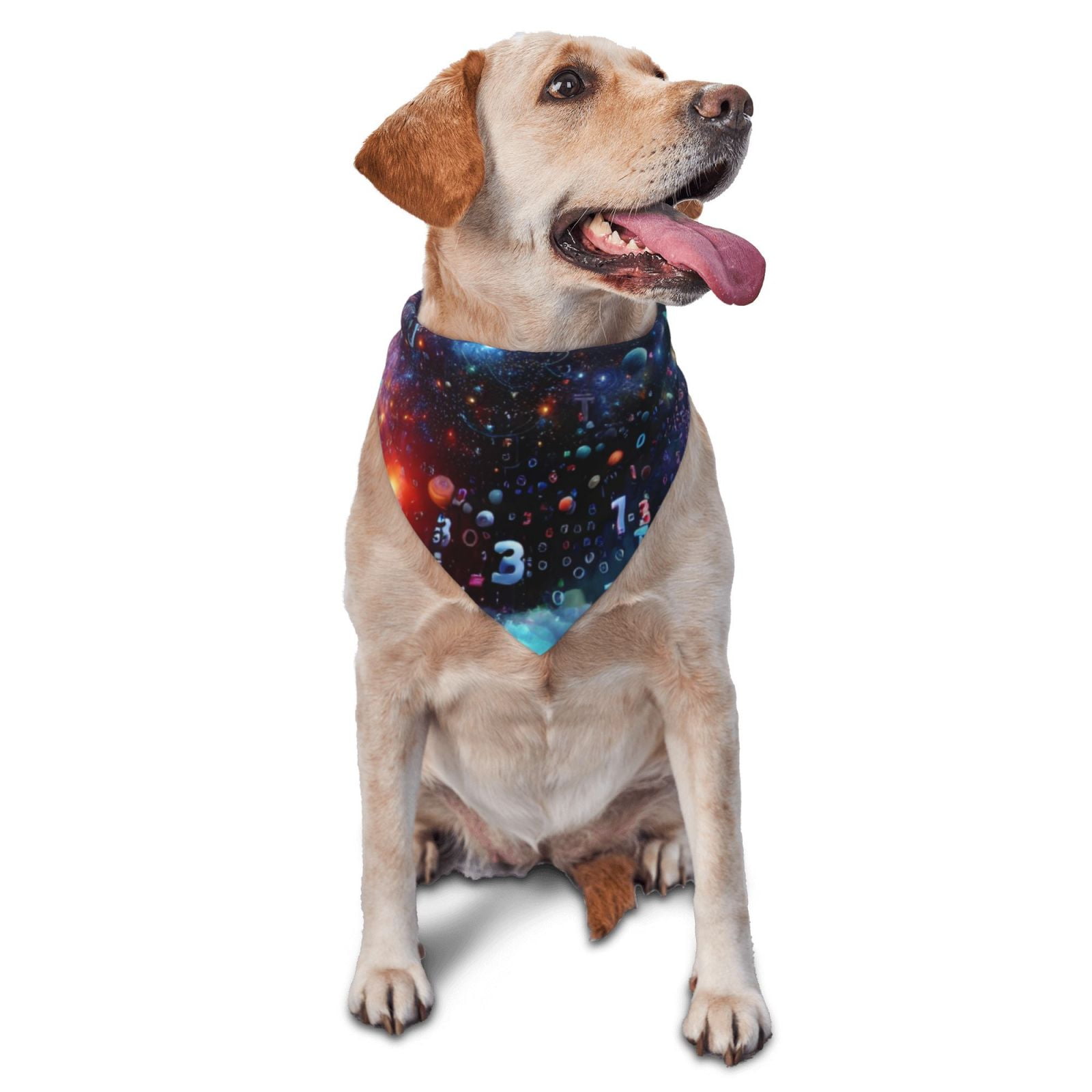 Naloa Outer Space Floating Numbers And Letters Dog Bandanas 1PC ...