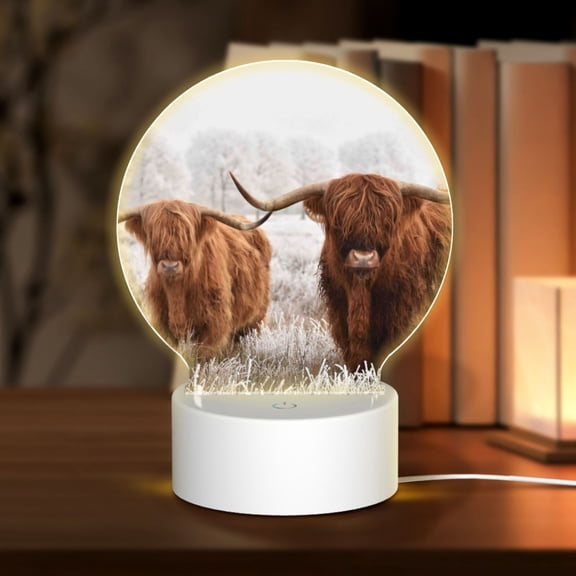 Personalized Night Lights