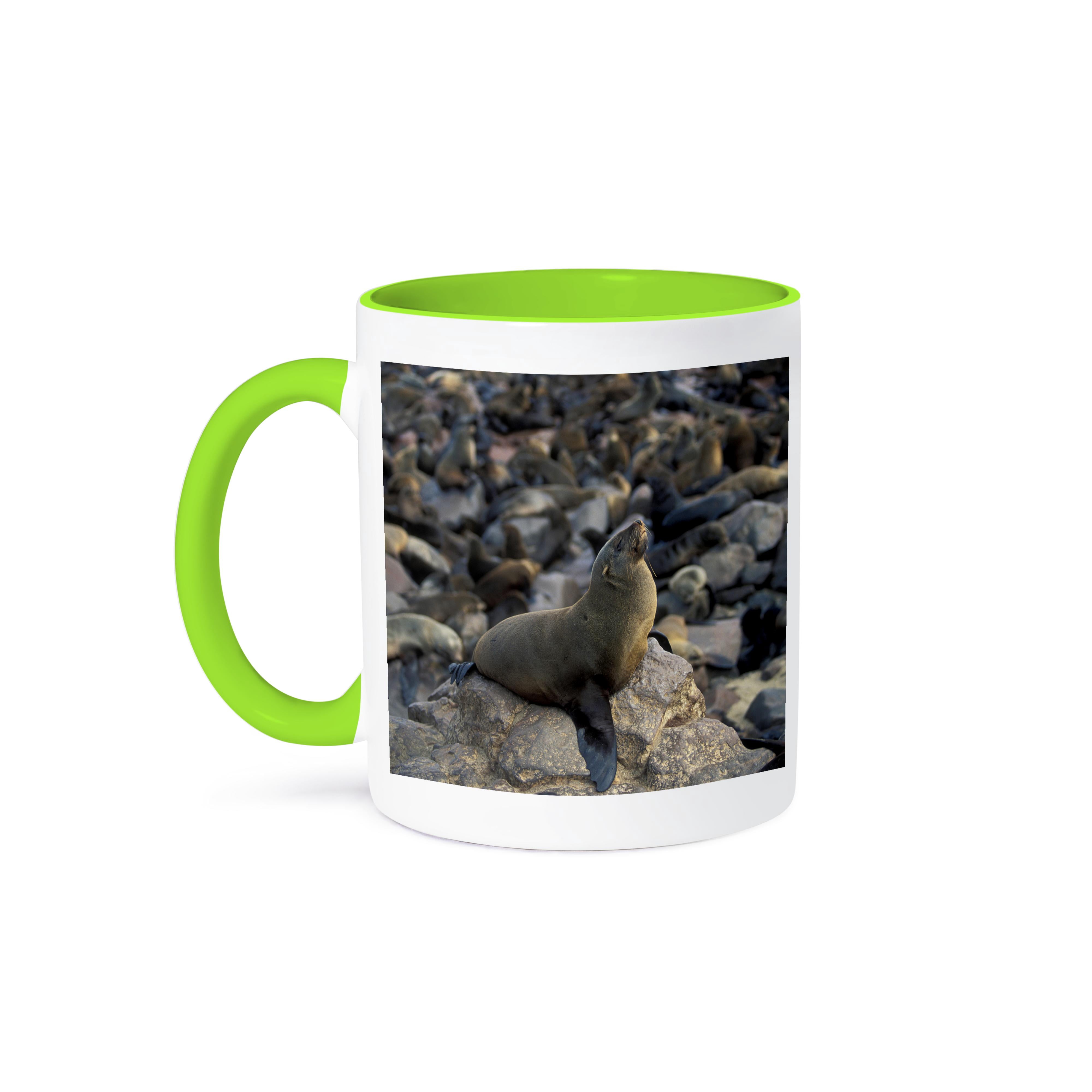 Namibia, Cape Cross Seal Reserve, Fur Seals On Shore-Af31 Pso0004 ...