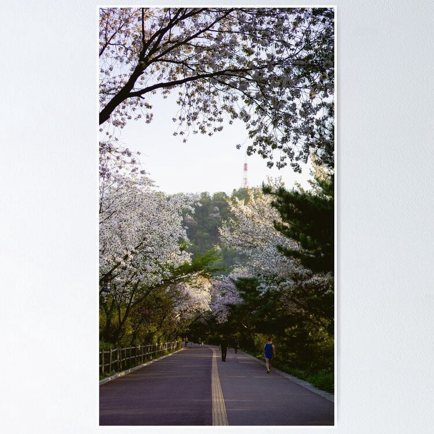 Namsan Tower Trail Poster, 24x36 UNFRAMED - Walmart.com