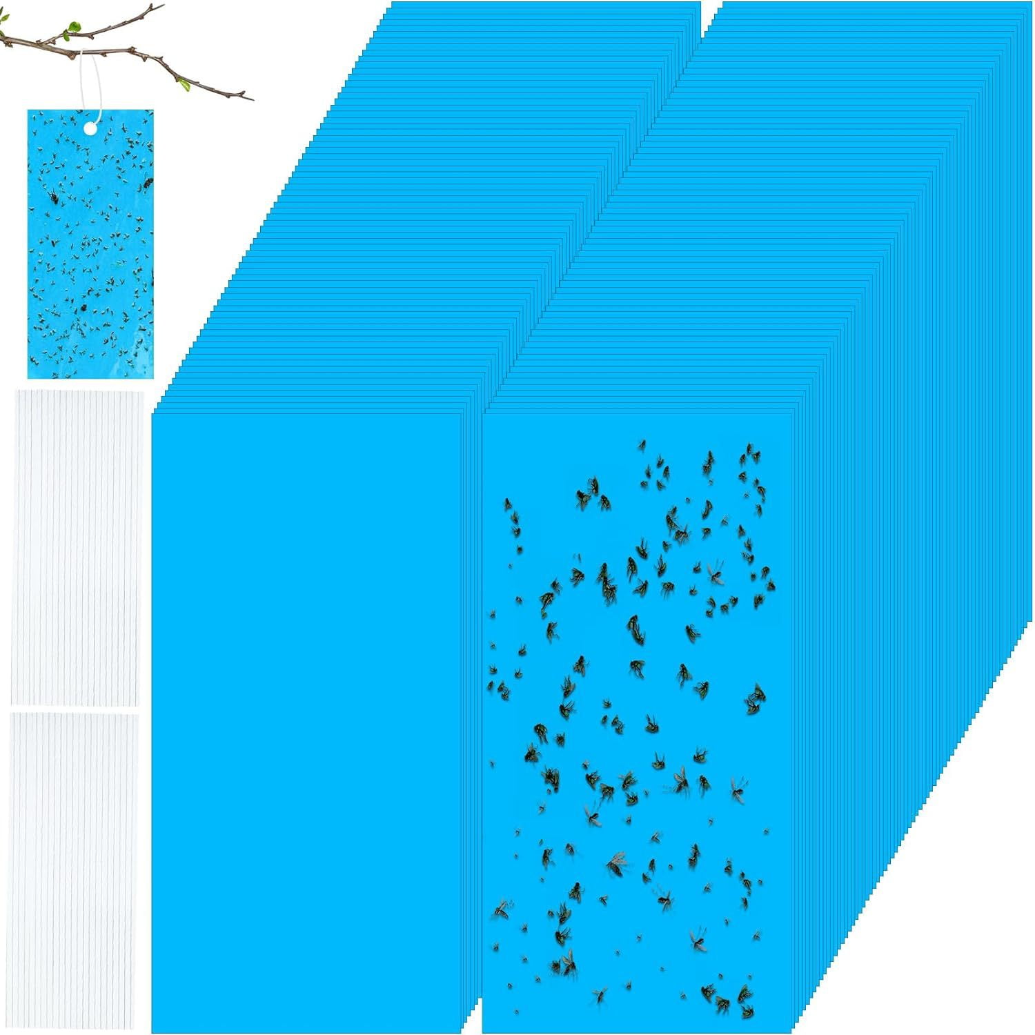 Namzi 100 Pcs Double Sided Sticky Traps for Flying Plant Insect Like ...