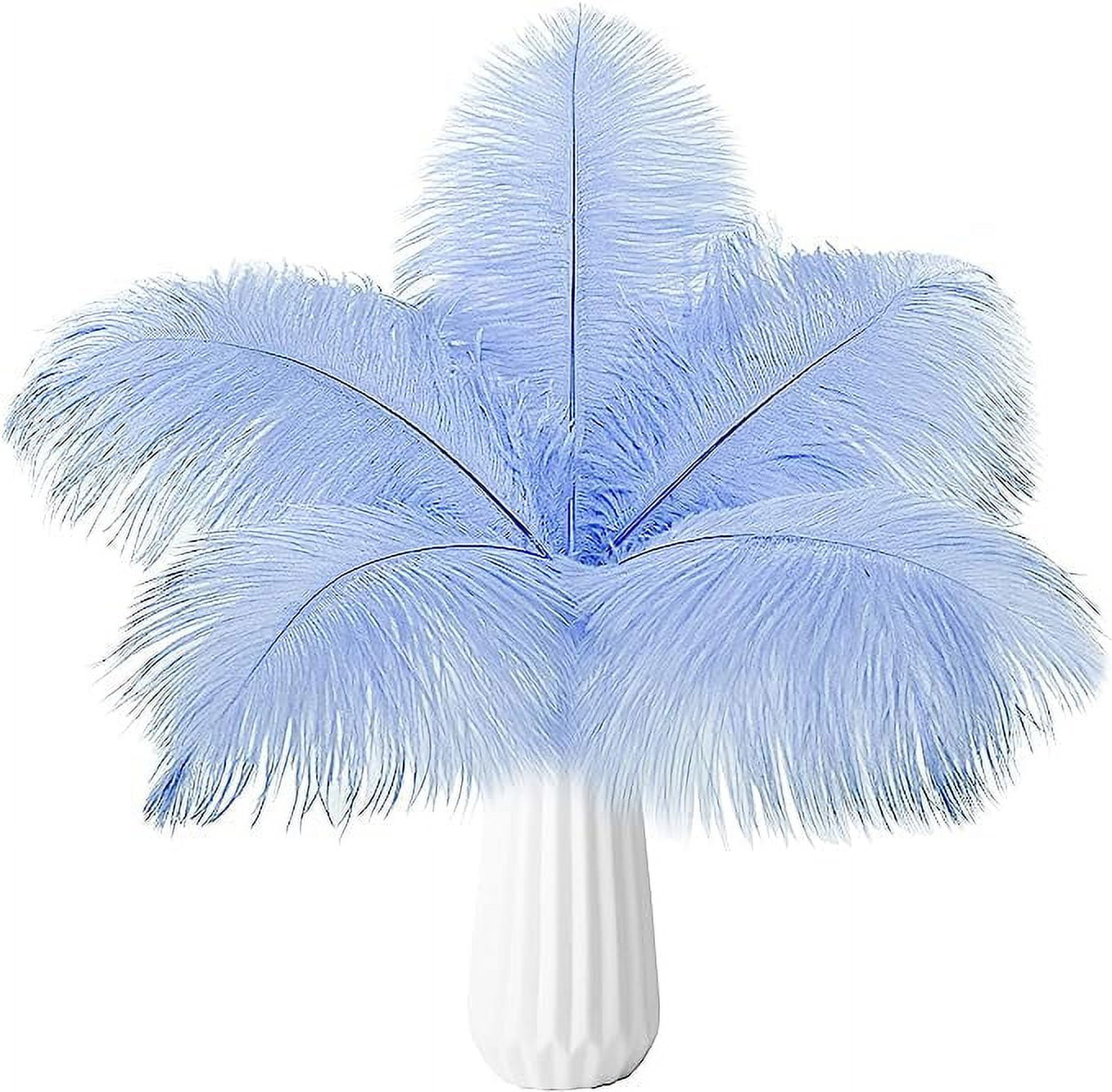 Namzi 24pcs Baby Blue Ostrich Feathers Natural Bulk 10-12Inch 25cm-30cm ...