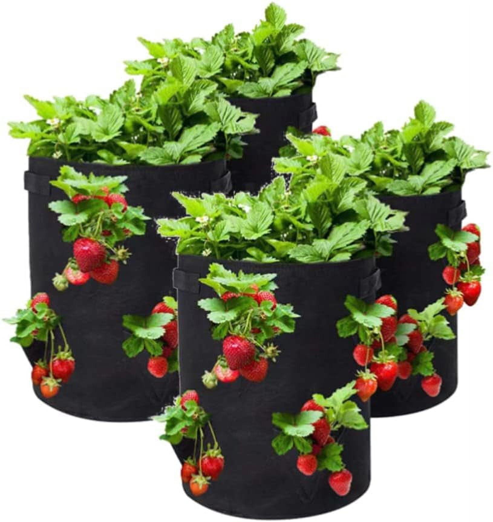 Namzi 4 Pack 10 Gallon Strawberry Grow Bags Strawberry Planter with 8 ...