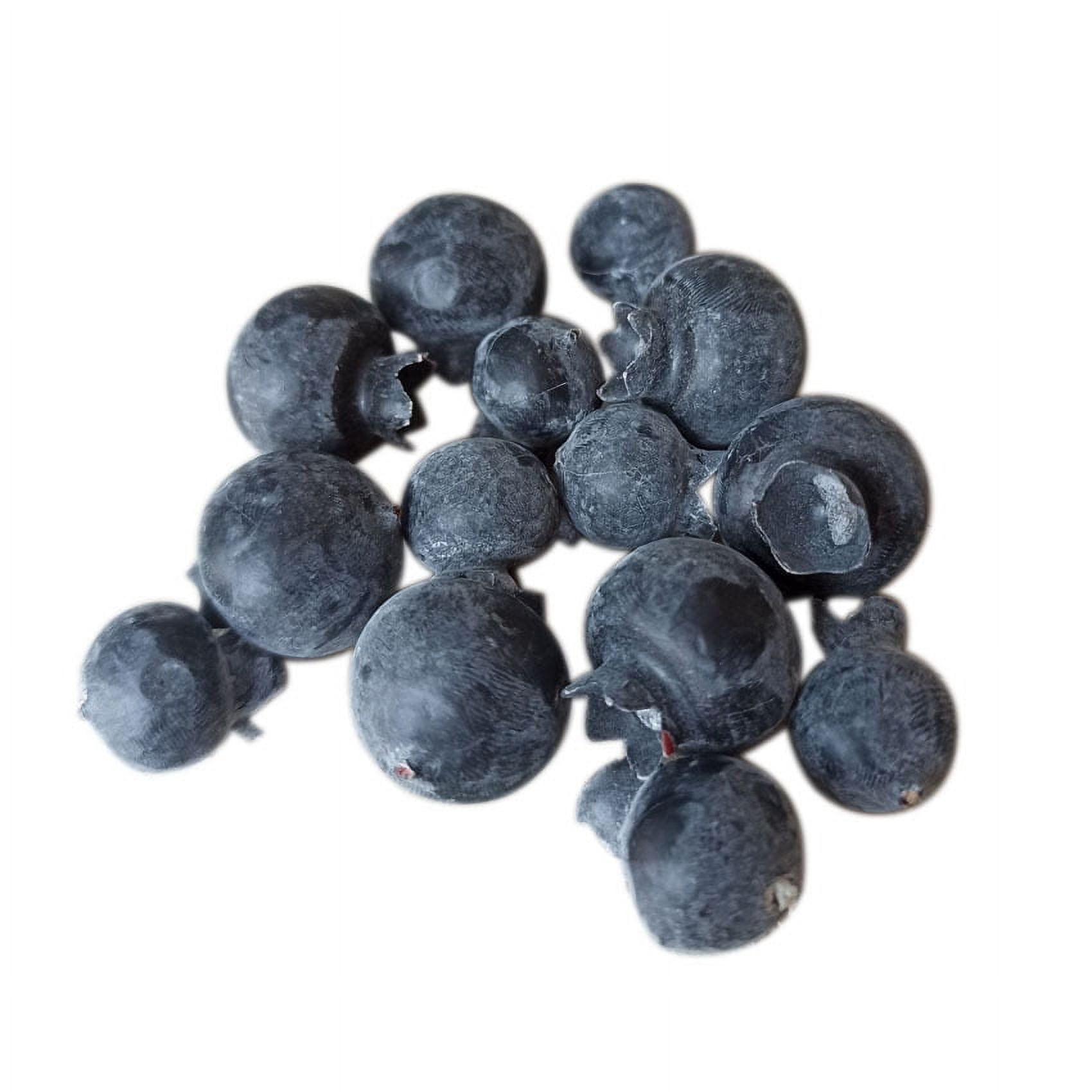 NAMZI artificial blueberries, 50 fake blueberries lifelike simulation ...