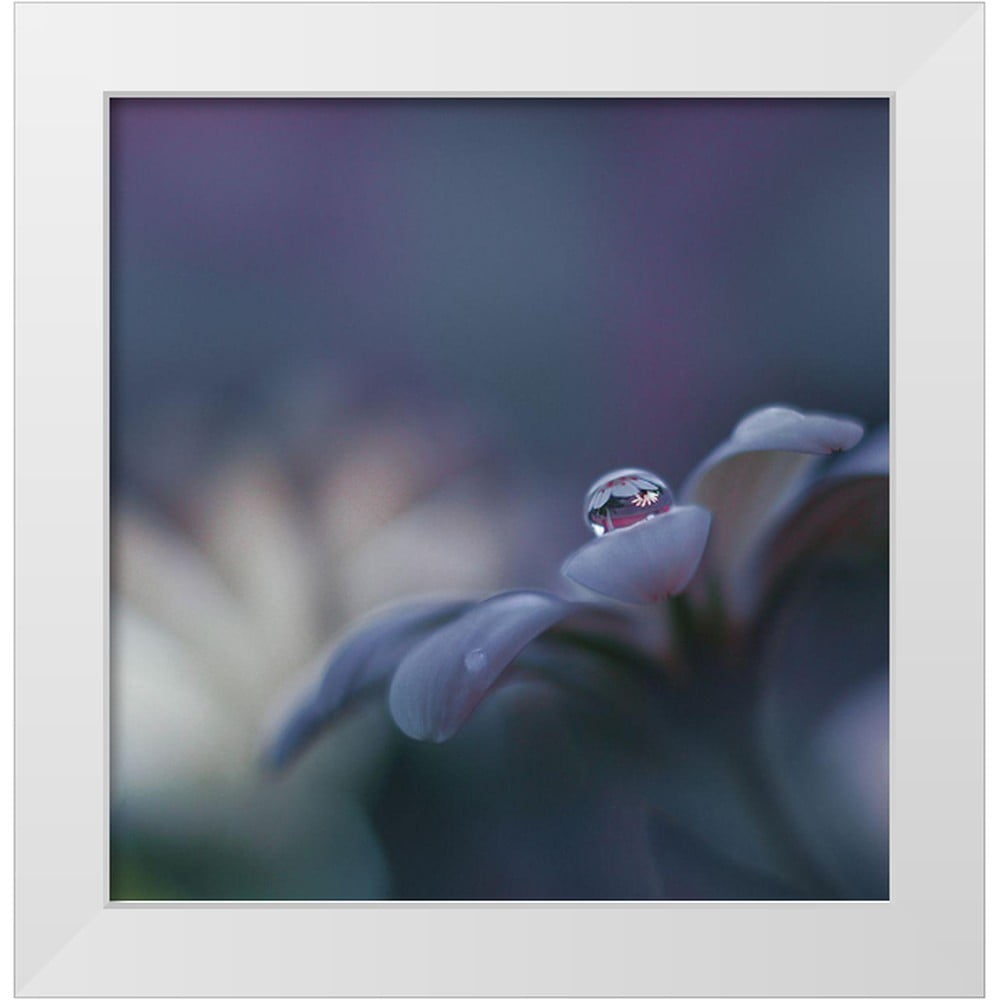 Nan, Juliana 15x15 White Modern Wood Framed Museum Art Print Titled ...