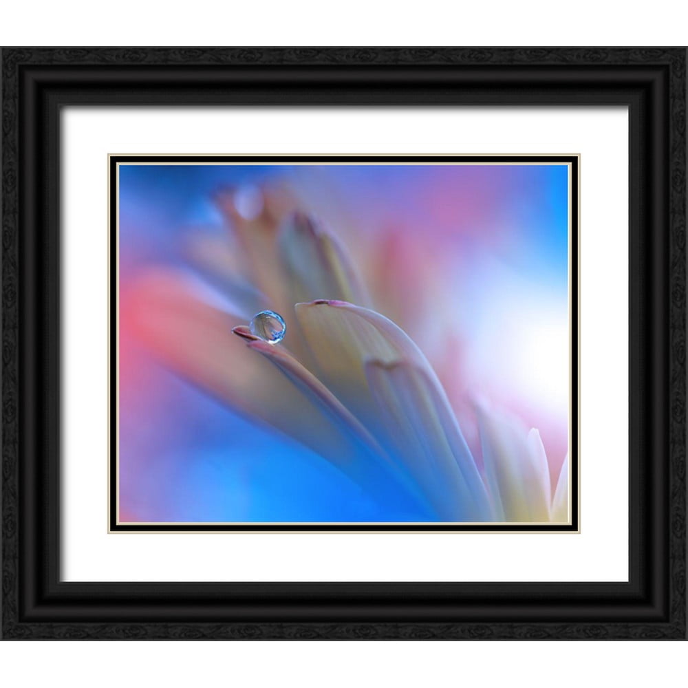 Nan, Juliana 24x20 Black Ornate Wood Framed with Double Matting Museum ...