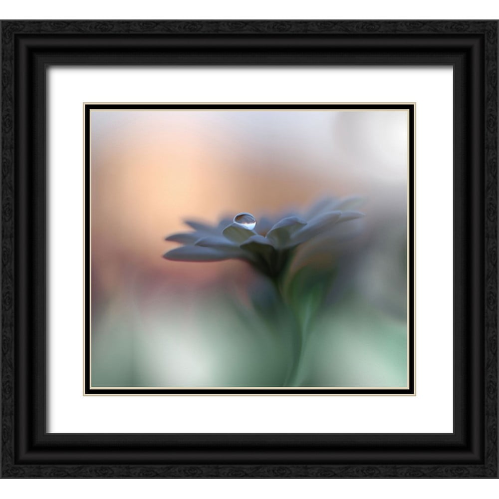 Nan, Juliana 29x26 Black Ornate Wood Framed with Double Matting Museum ...