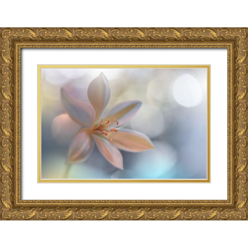 Nan, Juliana 32x23 Gold Ornate Wood Framed with Double Matting Museum Art Print Titled ...