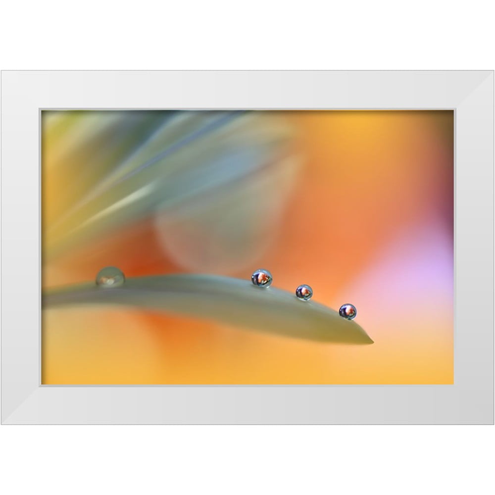 Nan, Juliana 32x23 White Modern Wood Framed Museum Art Print Titled - A ...
