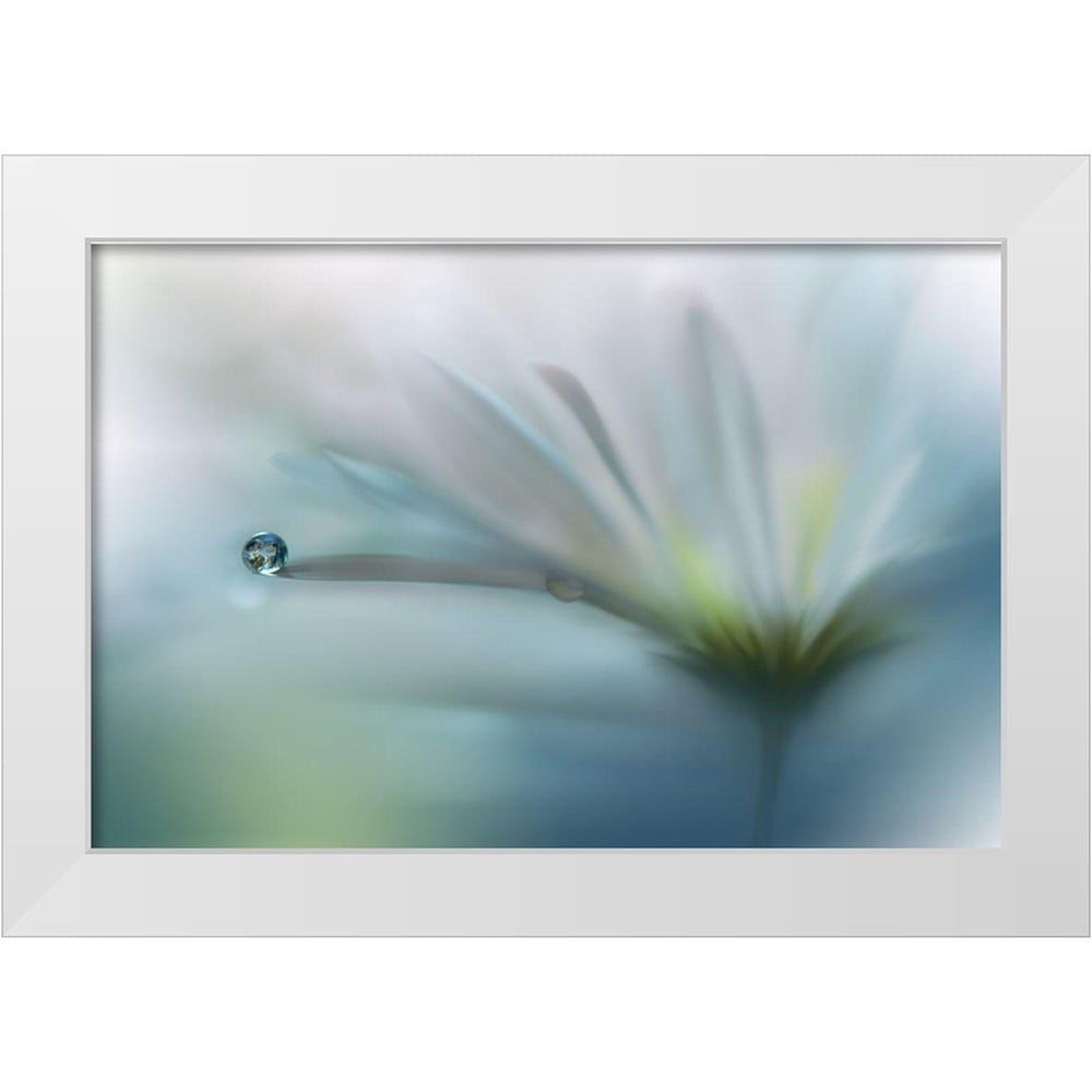 Nan, Juliana 32x23 White Modern Wood Framed Museum Art Print Titled - Fields Of Hope.. - Walmart.com