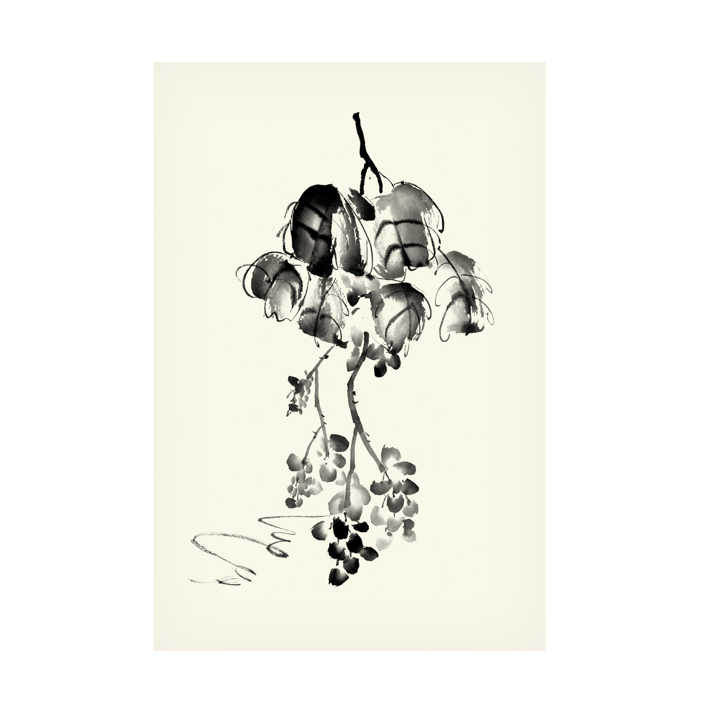Nan Rae 'Ink Wash Floral V Grapes' Canvas Art - Walmart.com