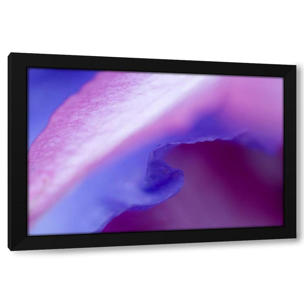 Nancy Rotenberg 32x23 Black Modern Wood Framed Wall Art Titled - Petal ...