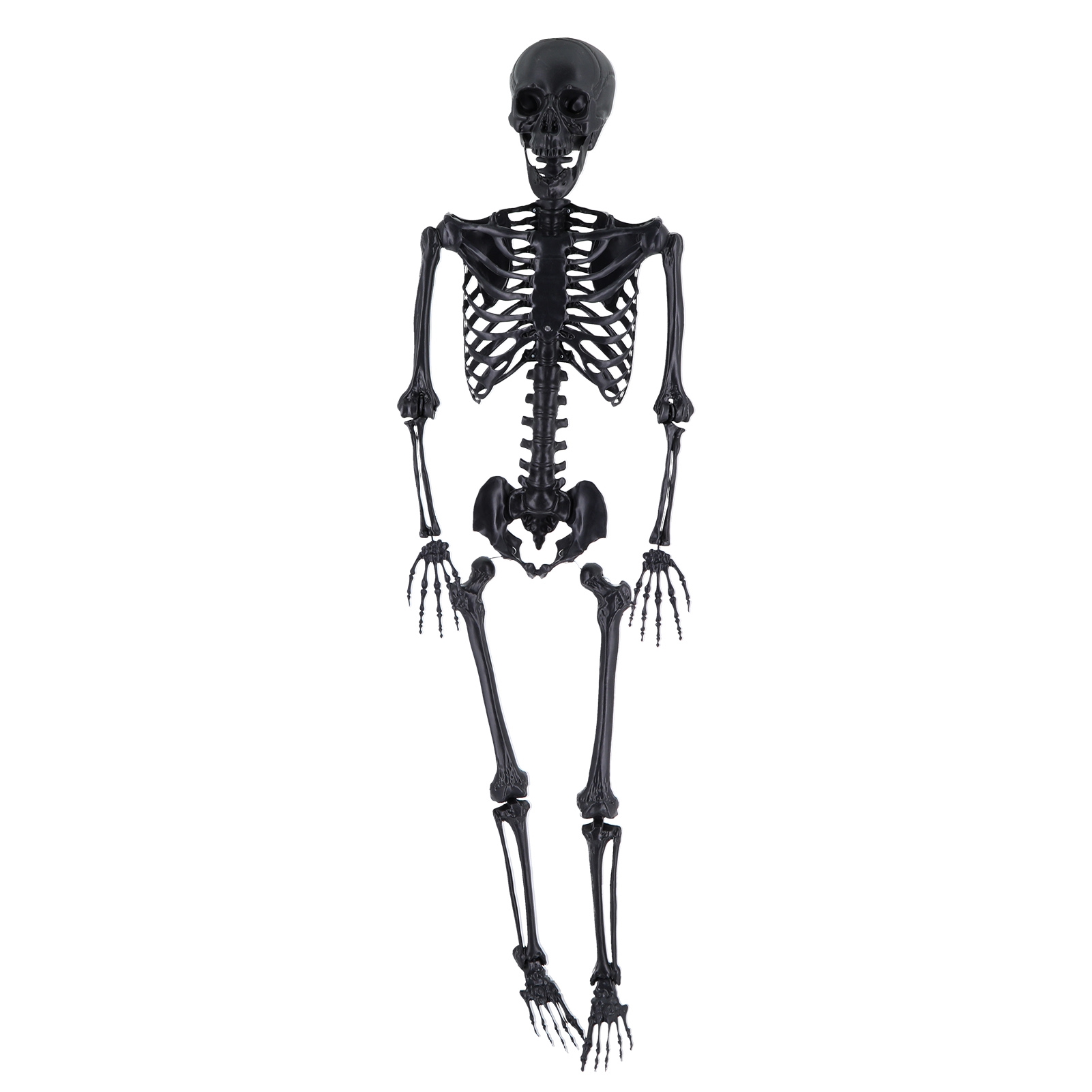 Nanly 5.4FT Skeleton Halloween Decorations, Realistic Full Body Movable ...