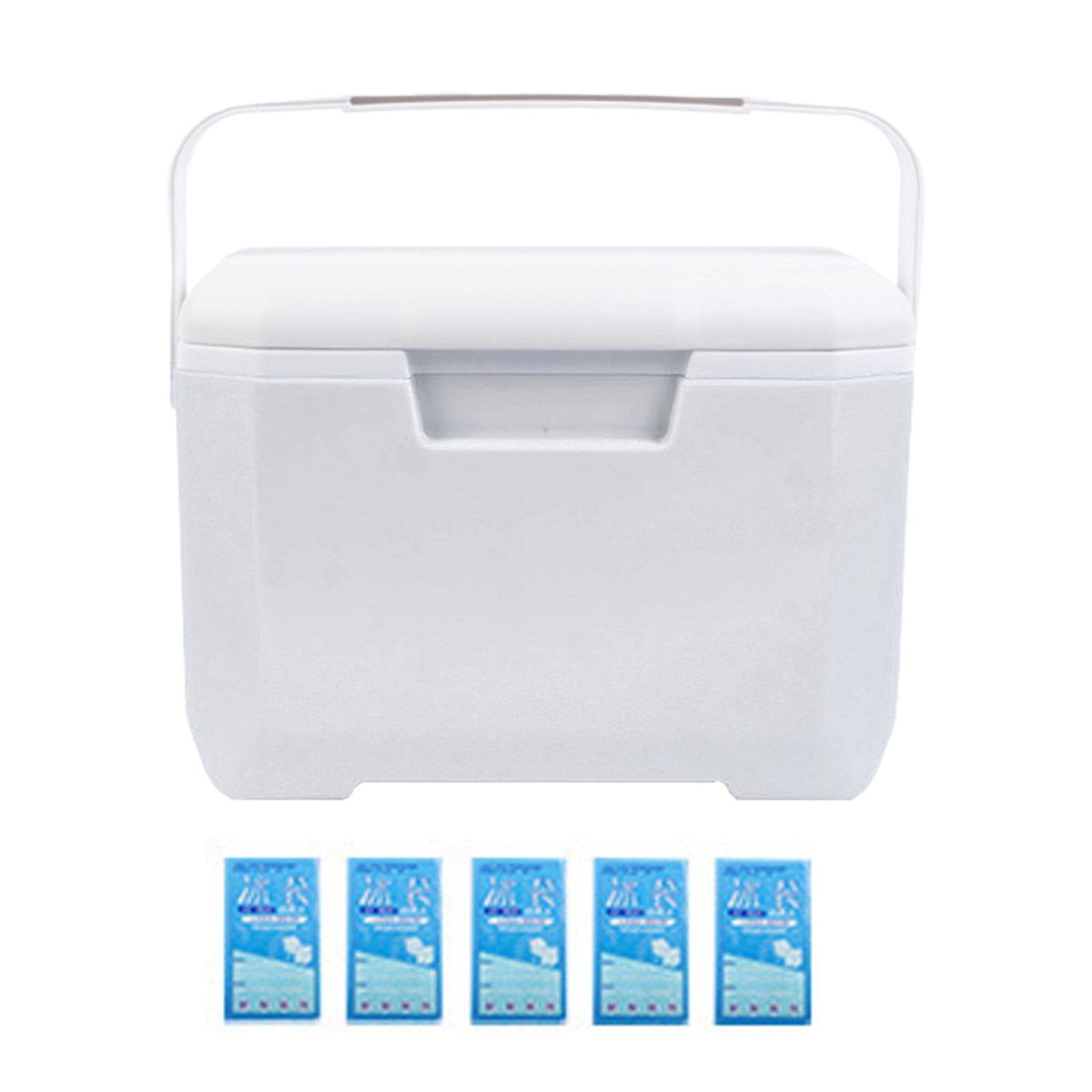 Nanly 6L Camping Cooler Insulated Box, Portable Hard Ice Chest Box with ...