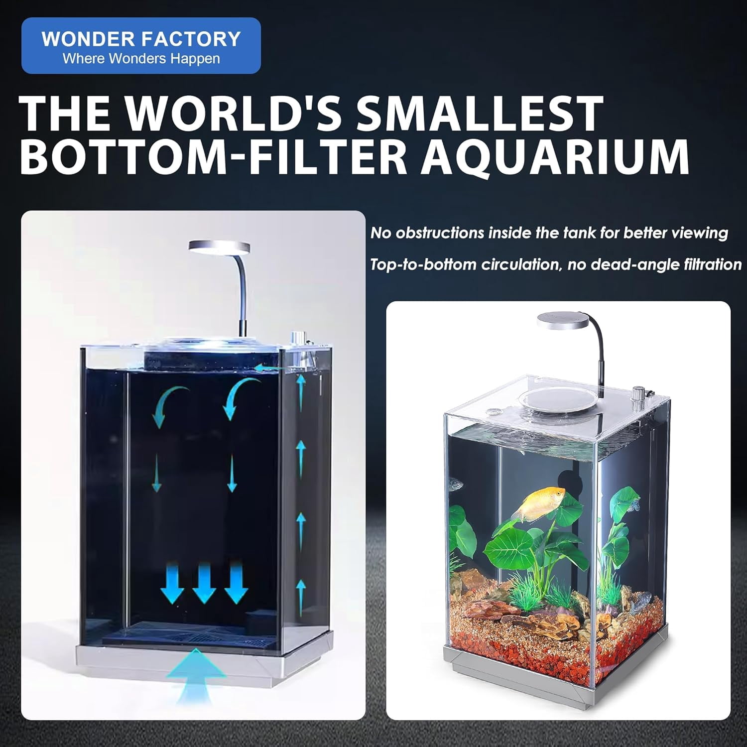 Nano Desktop Betta Aquarium 2.7 Gallon Glass Fish Tank Set - Walmart.com