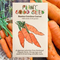 Plant Good Seed Black Eagle Spring Wheat Seeds, Organic Triticum ...